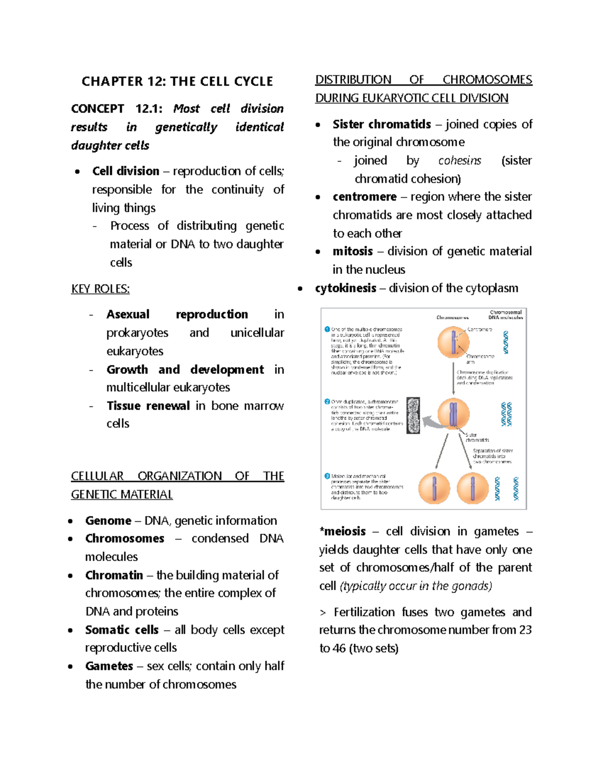 Chapter 12 Reviewer (BIO 132) - CHAPTER 12: THE CELL CYCLE CONCEPT 12 ...