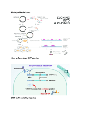 Helminths - Helming he - PHYLUM NEMATODA (ROUNDWORMS) complete ...