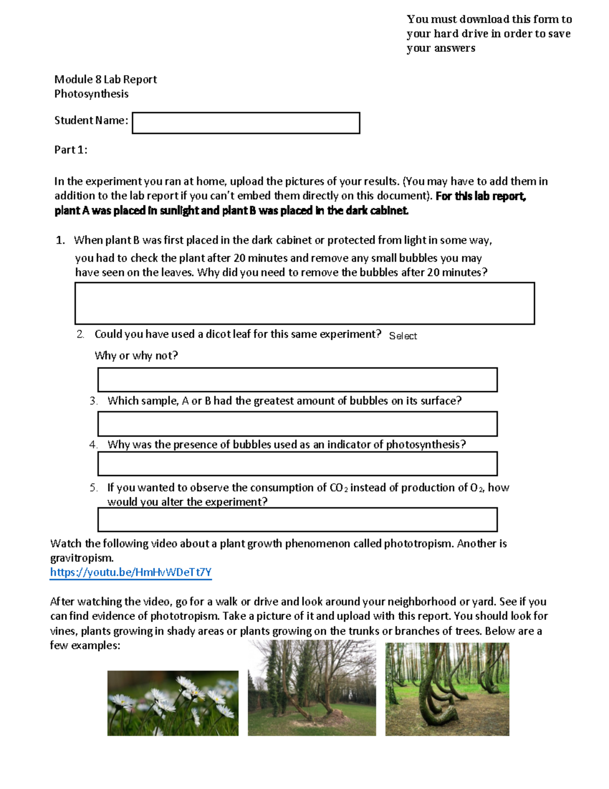 Module 7 Lab Report - Lab 7 - Module 8 Lab Report Photosynthesis Student Name: Part 1: In the ...