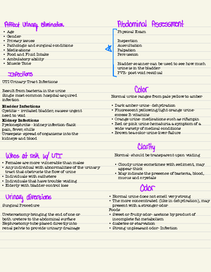 Fund5 - barrel chest - Observe rhythm, depth, and rate of respiration ...