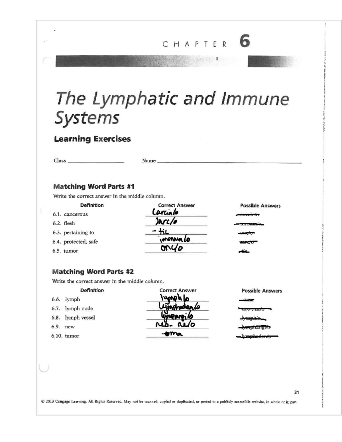 Ch. 6 Key - Bangert - HLHS101 - Studocu