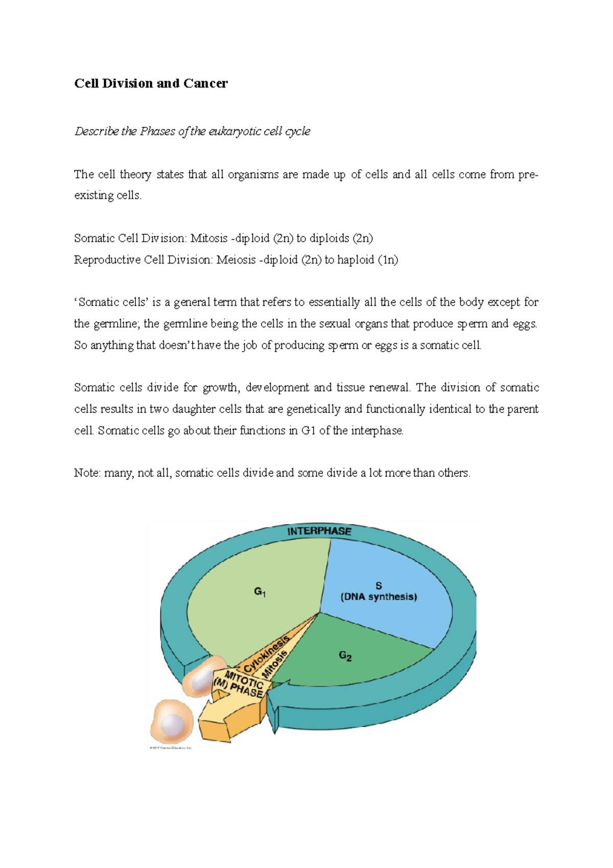 Cell Division and Cancer - Cell Division and Cancer Describe the Phases ...