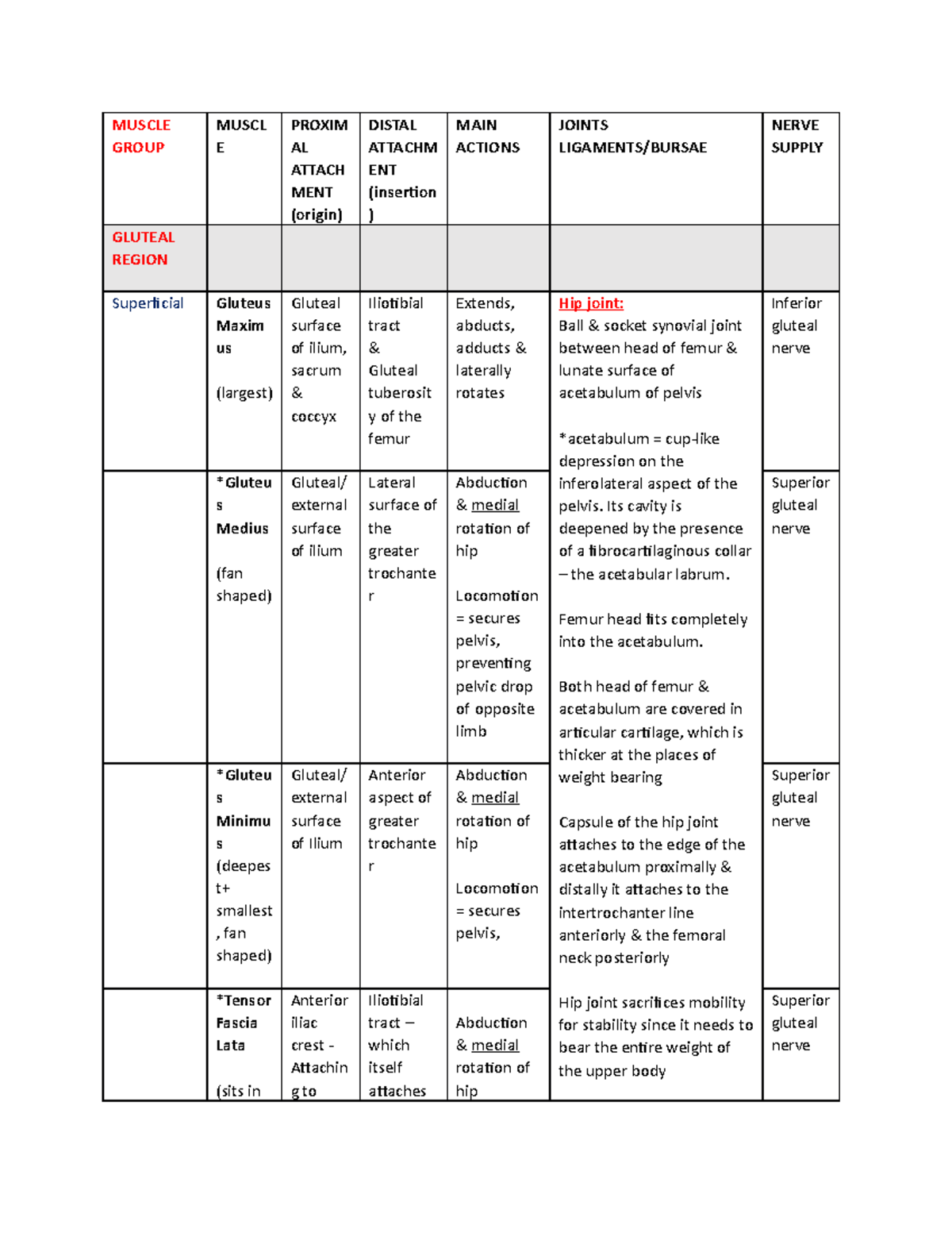 Lower limb table - Origins, insertions, nerve supply - MUSCLE GROUP ...