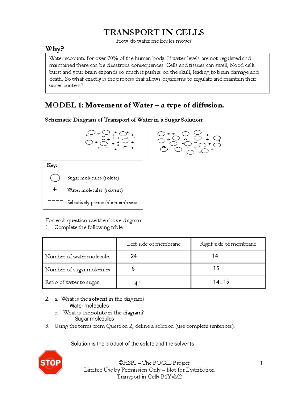 - Pogil transport in cells - ©HSPI – The POGIL Project Limited Use by ...