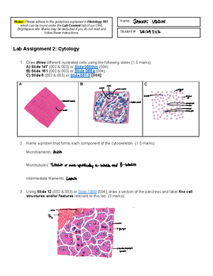 LAB 6 - Lab - Name: Student #: Lab Assignment 6 : Bone & Bone Formation ...
