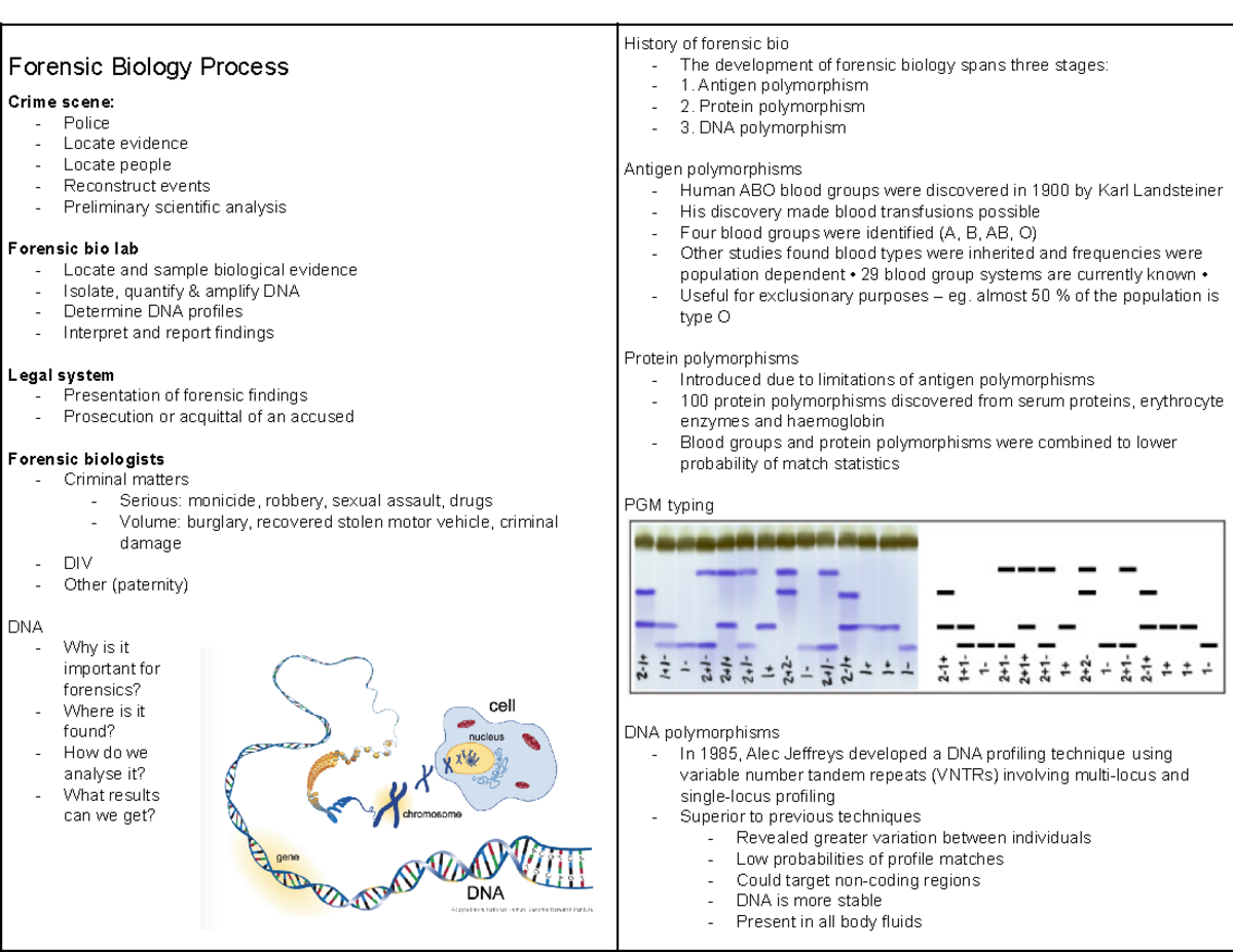 Lec 1 - forensic bio process - Forensic Biology Process Crime scene ...