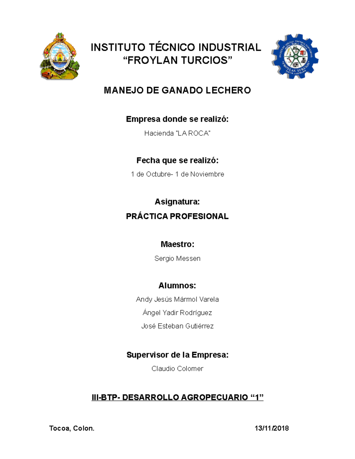 Informe DE Practica Profesional 2018 - INSTITUTO TÉCNICO INDUSTRIAL ...