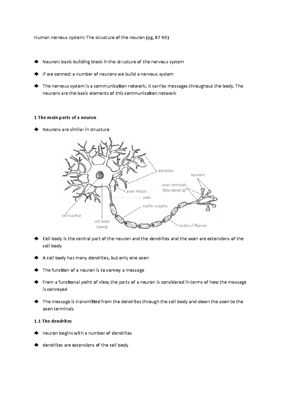 Human nervous system structure of neuron - Human nervous system: The ...