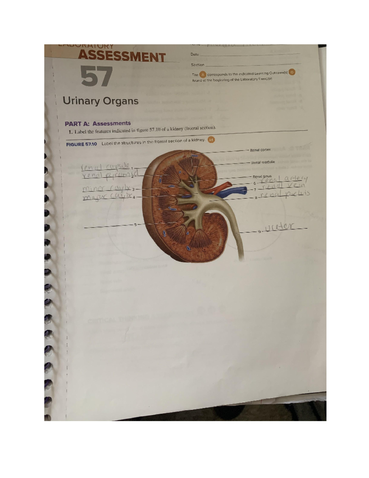 Lab exercises 57&58 - BI231 - Studocu