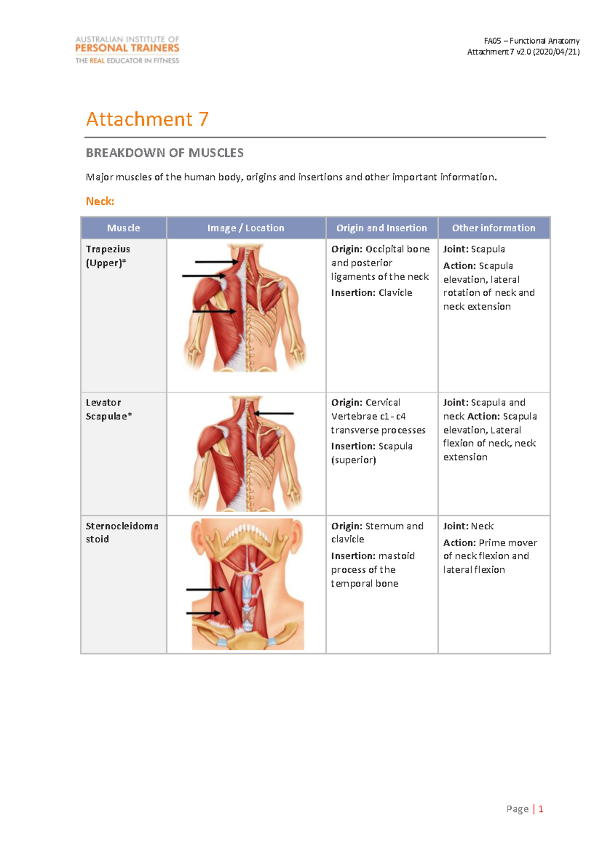 FA05-Attachment 7-Breakdown of muscles - Attachment 7 v2 (2020/04/21 ...