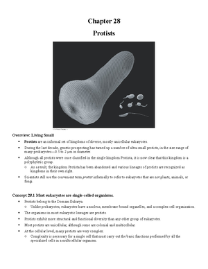 Lab 6 - Protist Virtual Lab- solved - Protist Virtual Lab-BIO Complete ...