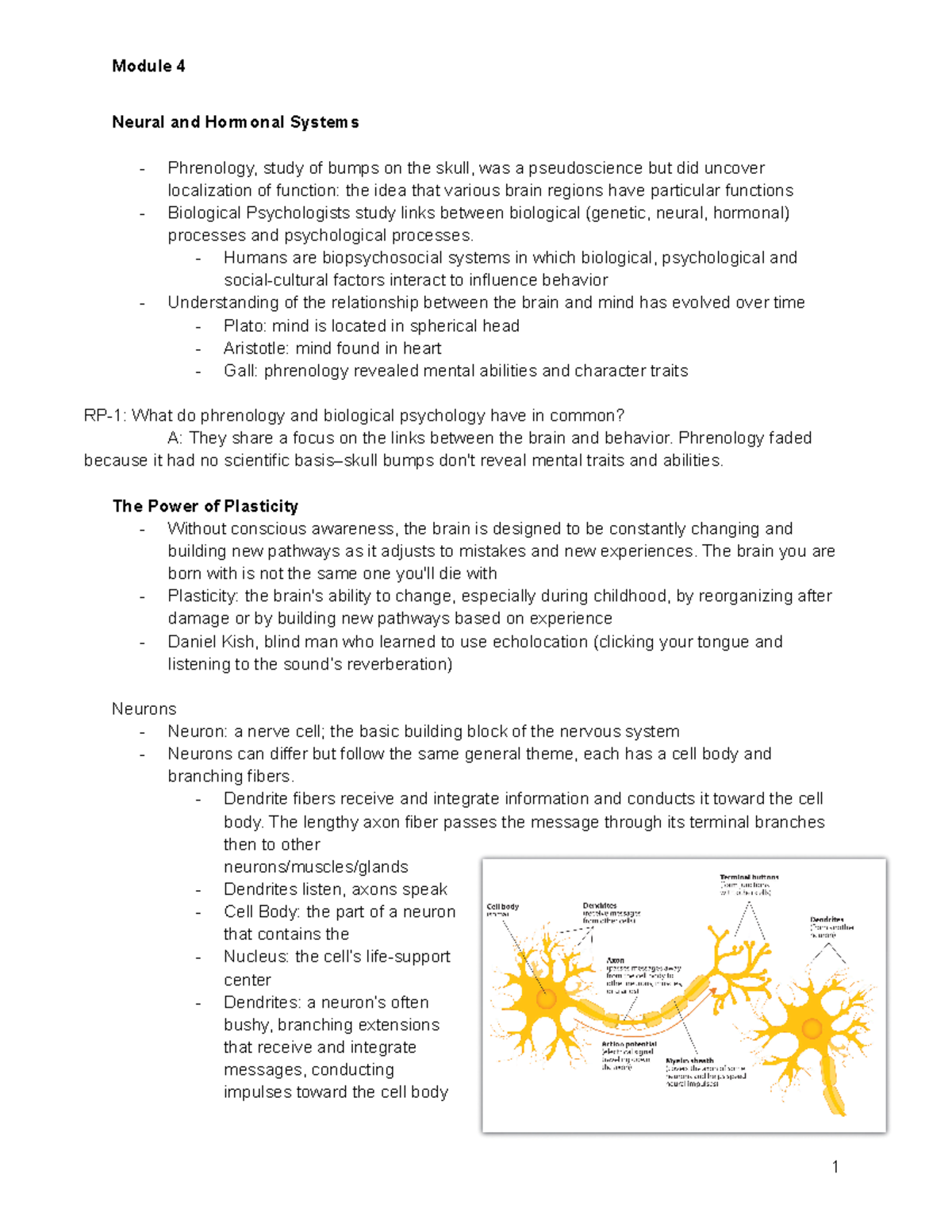 Psychology Module 4 - Module 4 Neural and Hormonal Systems Phrenology ...