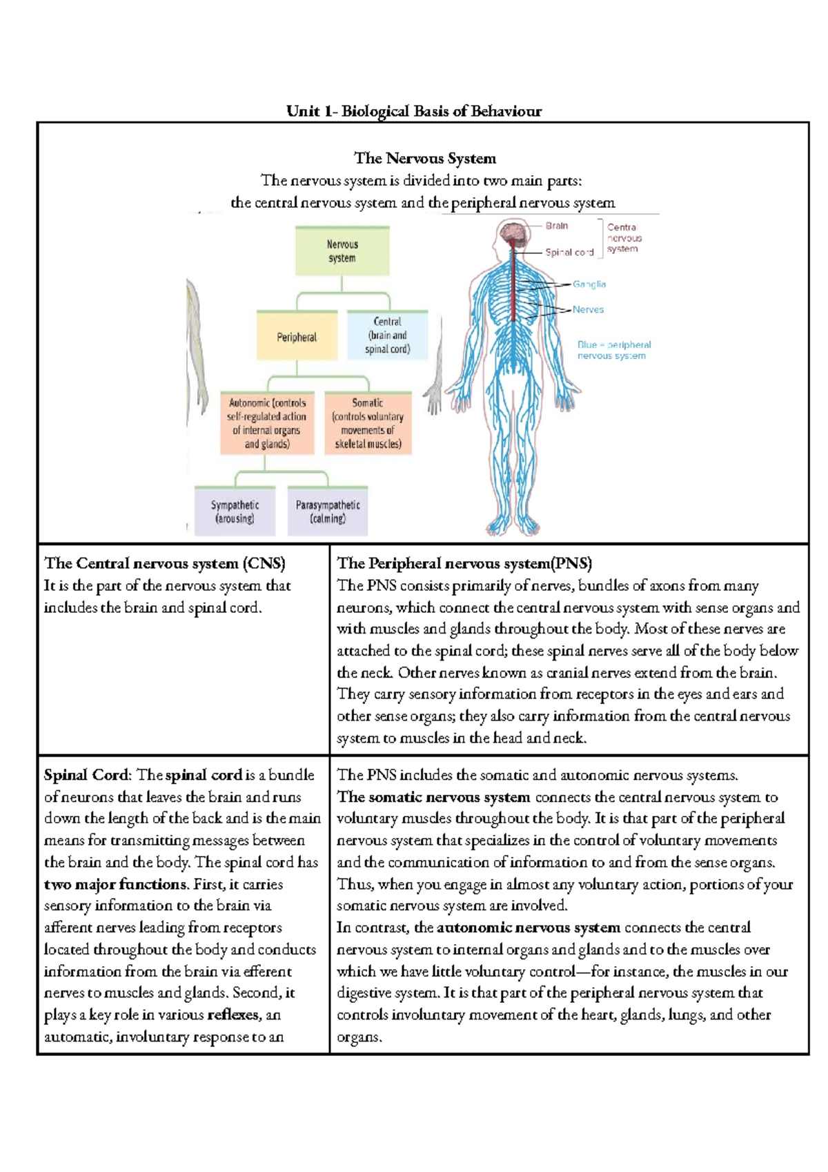 Chapterwise Notes - Unit 1- Biological Basis of Behaviour The Nervous ...