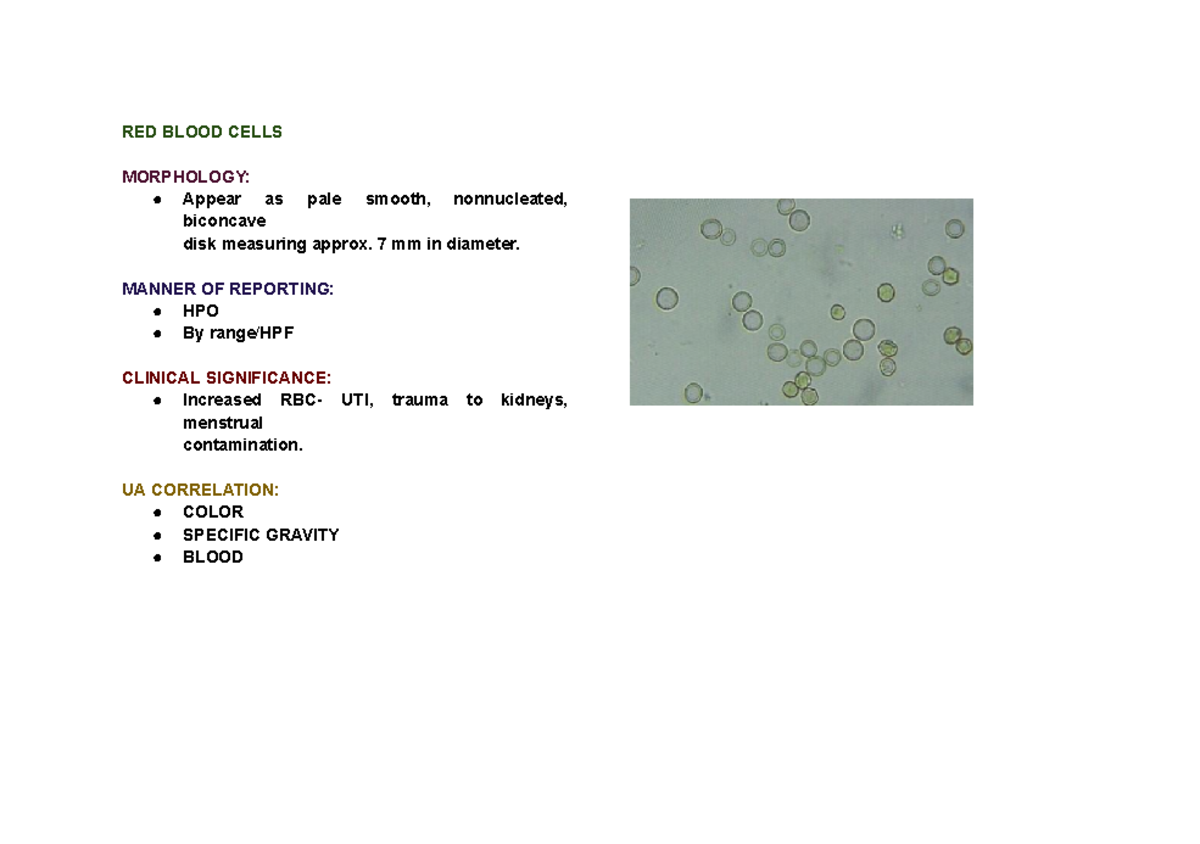 Atikatik - Clinical Microscopy - RED BLOOD CELLS MORPHOLOGY: Appear as ...