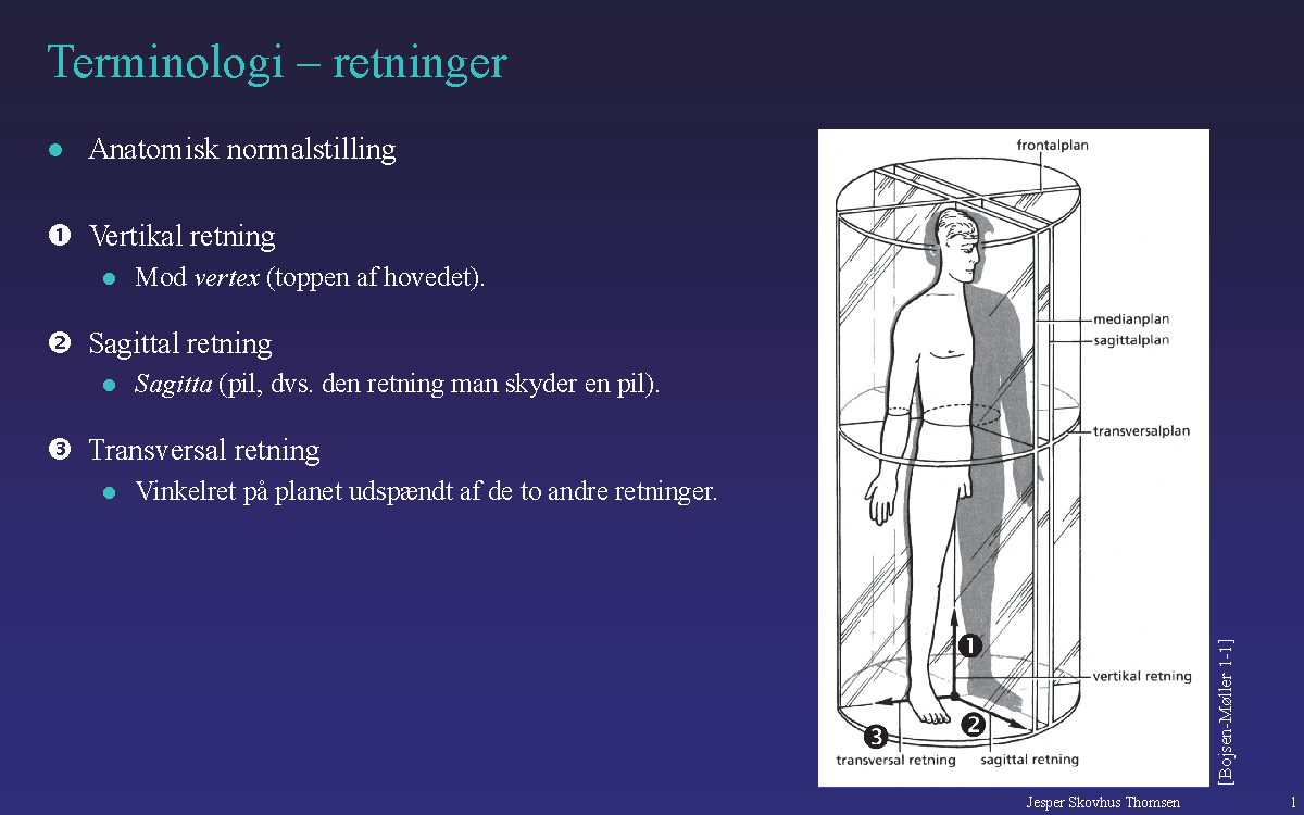 Makro-Knogler-muskler - Terminologi – retninger Anatomisk ...