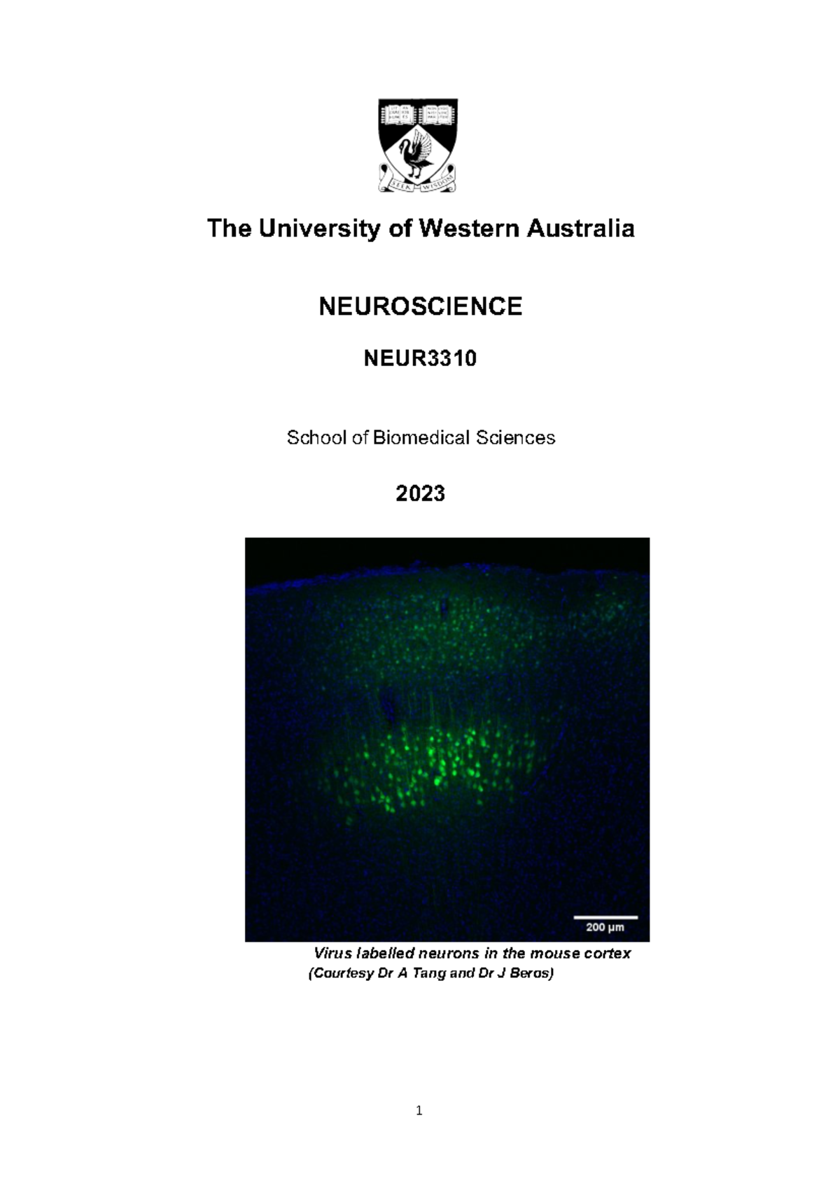 NEUR3310 Handbook - UC=Jamie Beros - The University of Western ...