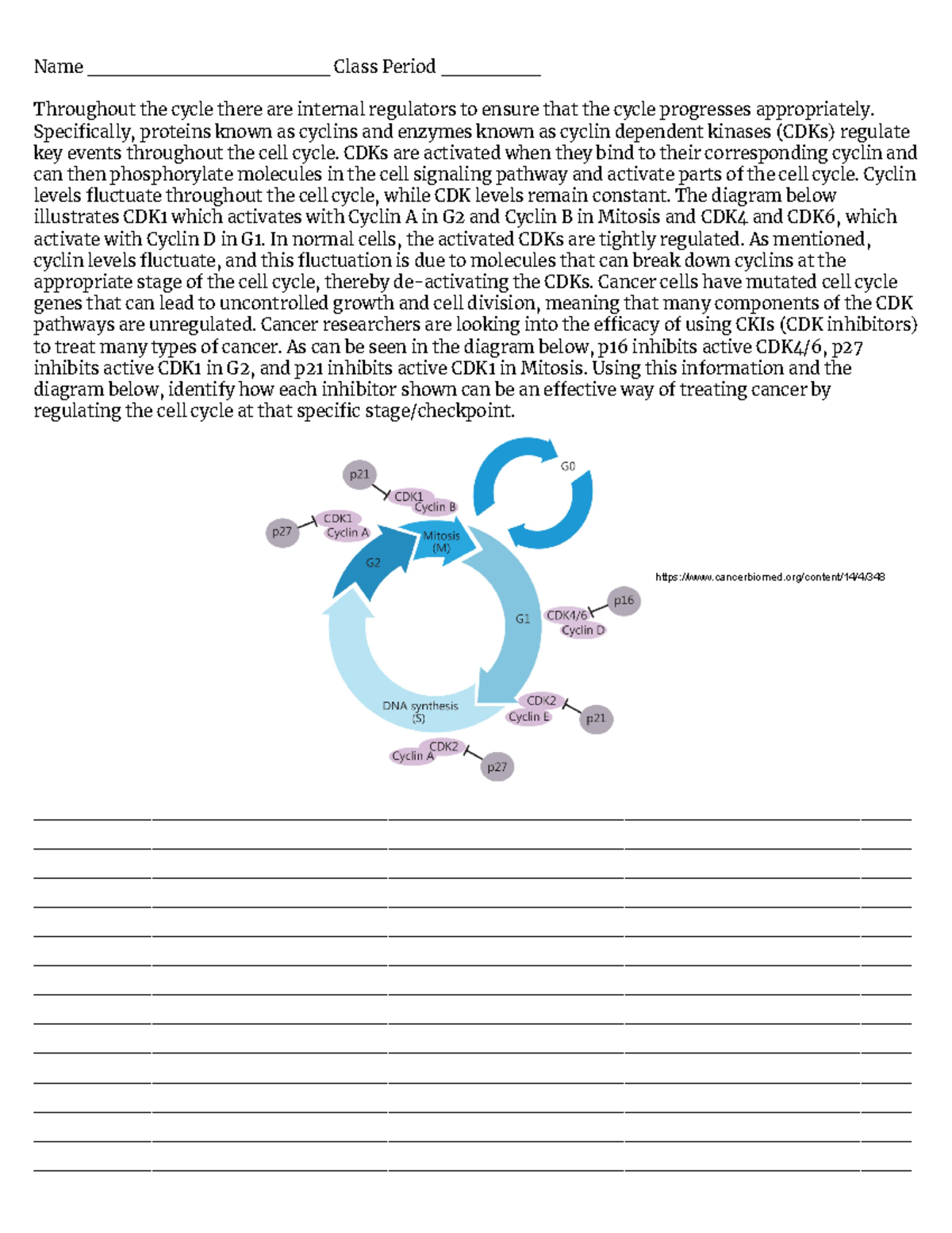 Savannah Tavarez - CDK and Cyclin - FRQ practice question - Name ...