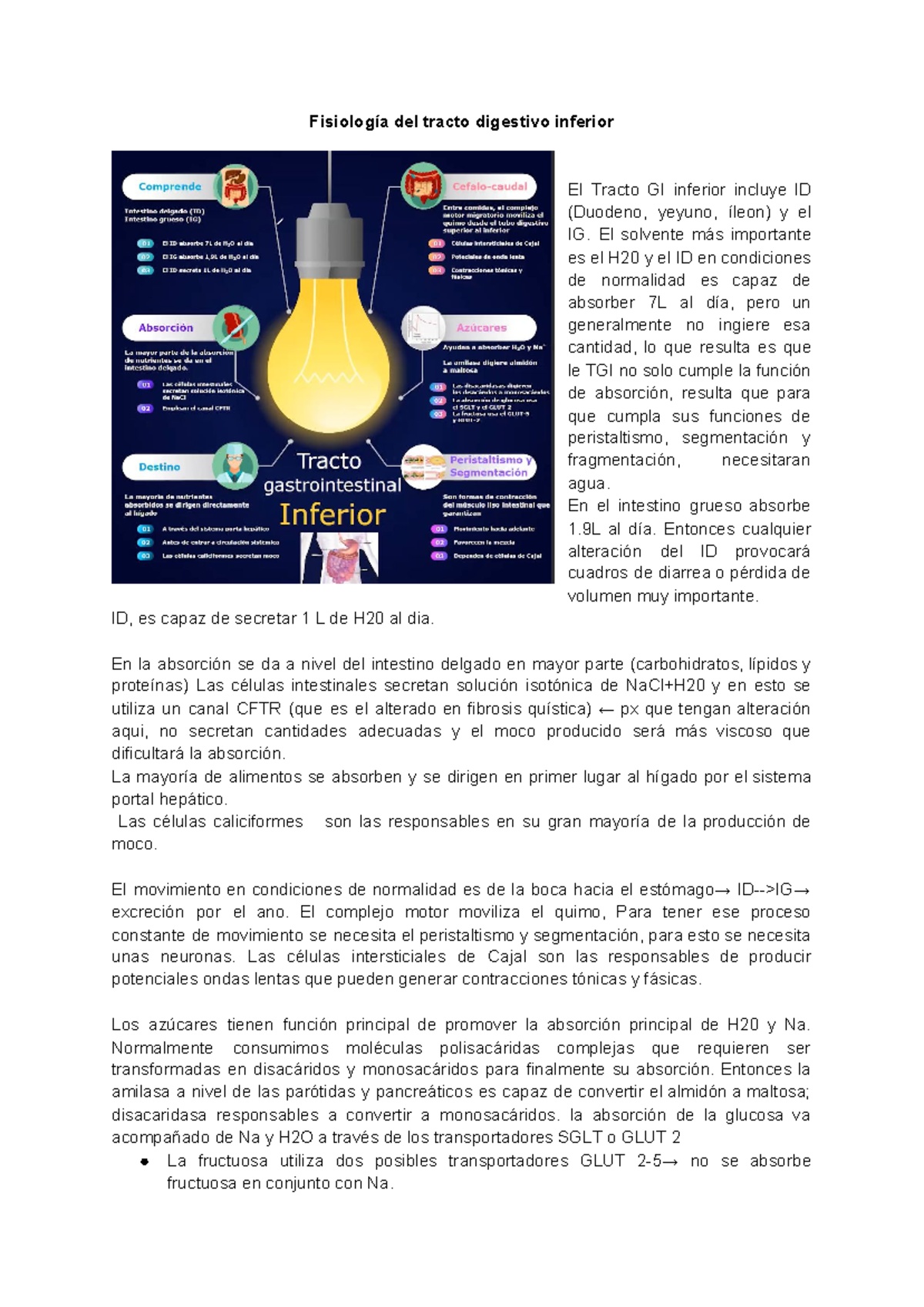 Fisiología del tracto digestivo inferior - Fisiología del tracto ...