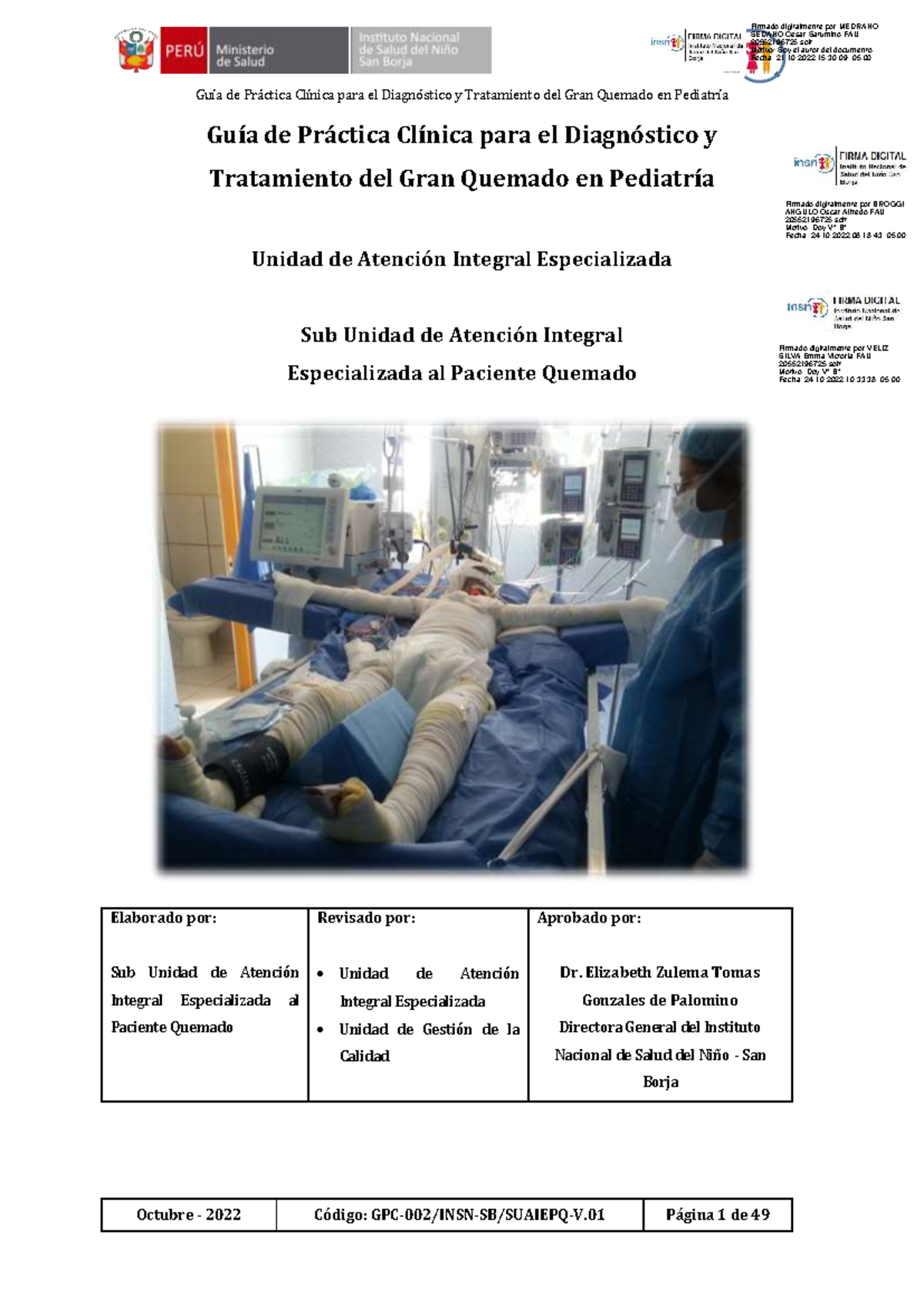 GPC Gran Quemado en Pediatría F - Guía de Práctica Clínica para el ...