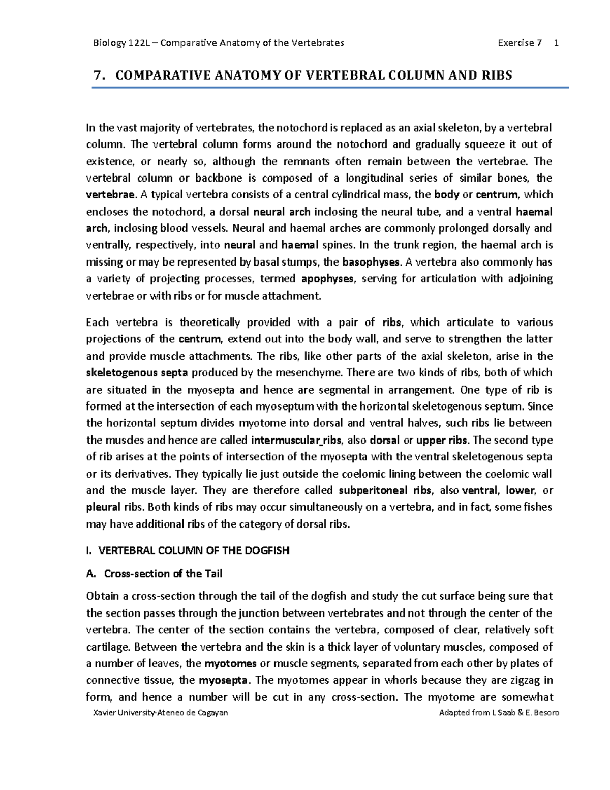 Biol 122L Exercise 7 - practice - 7. COMPARATIVE ANATOMY OF VERTEBRAL ...