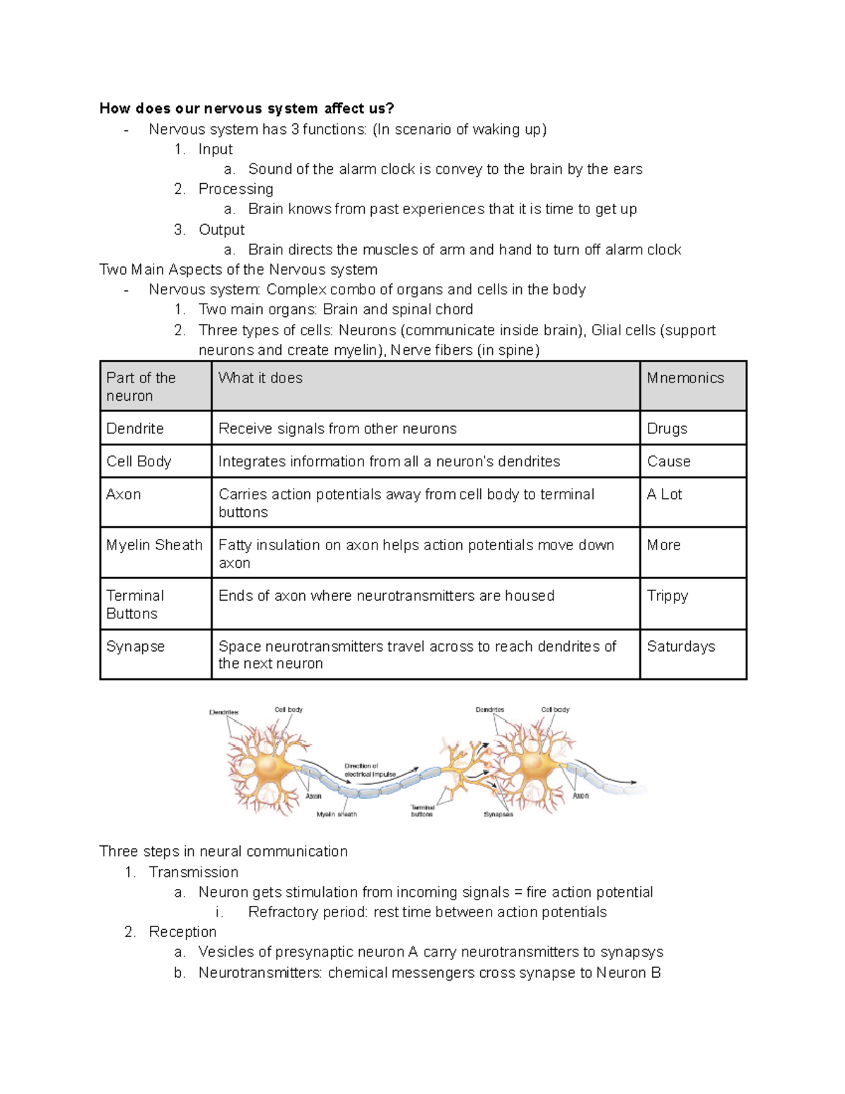 Chapter 2 Notes - How does our nervous system affect us? - Nervous ...