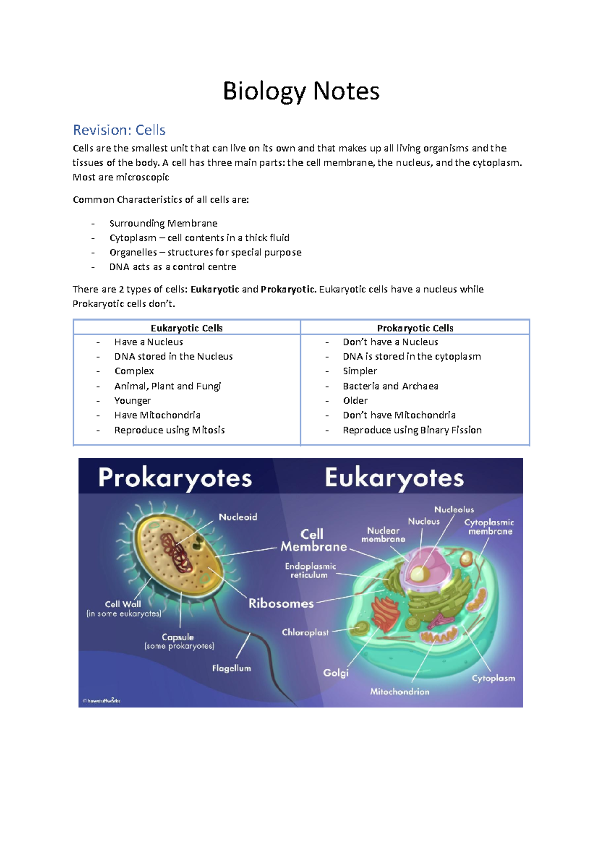 Biology Notes Yr 10 - Biology Notes Revision: Cells Cells are the ...