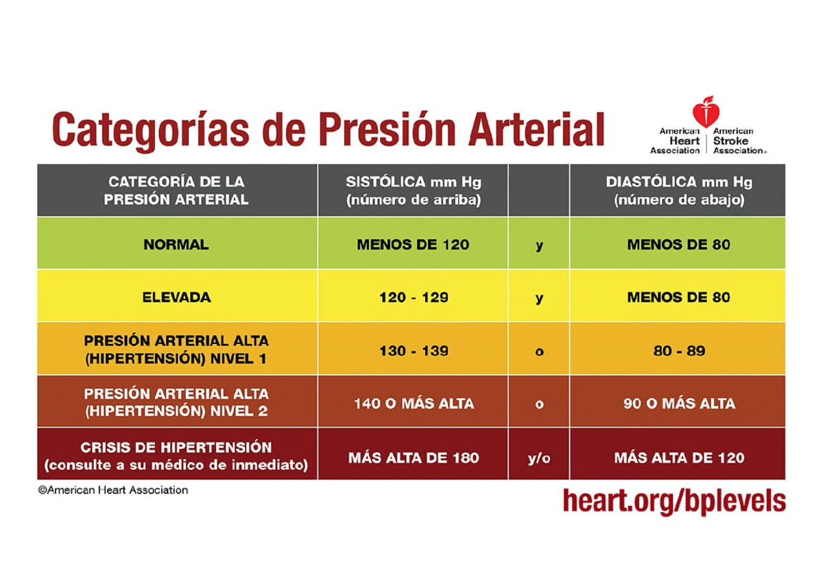 Hipertensión arterial - Hipertensión secundaria Este tipo de presión ...