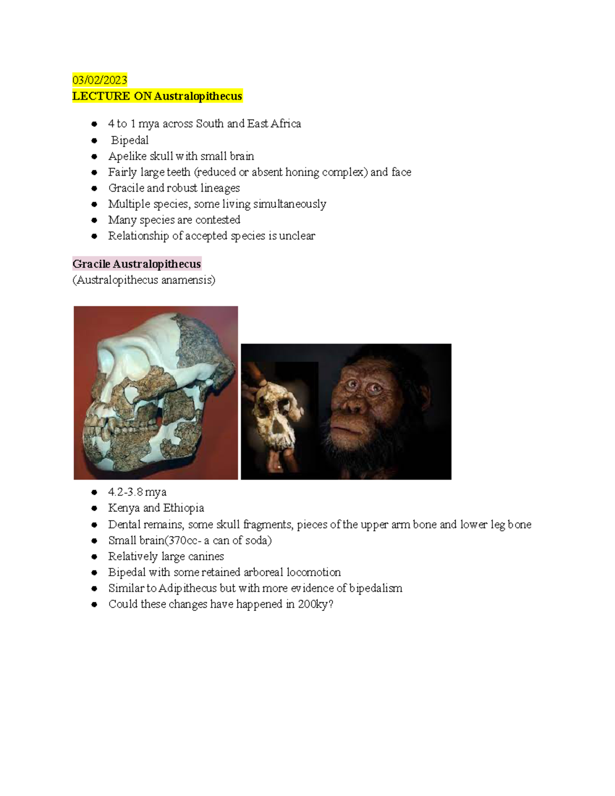 Anthro 105 WEEK 8 Lecture Notes - 03/02/ LECTURE ON Australopithecus 4 ...