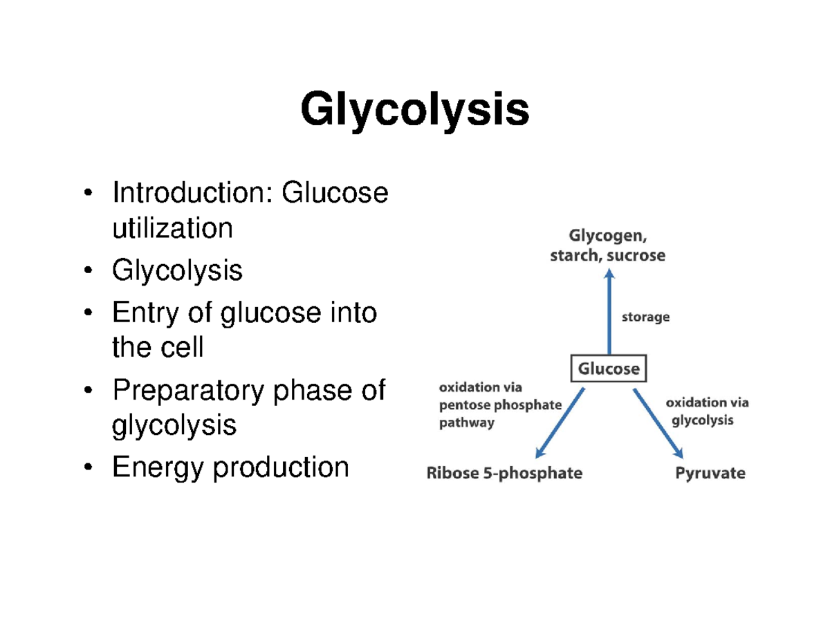 450Glycolysis - Glycolysis • Introduction: Glucoseutilization ...