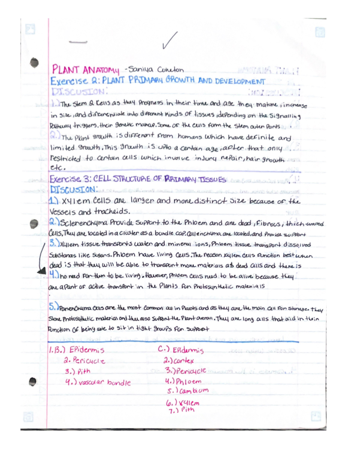 Plant Anatomy Lab - BIO-111 - Studocu