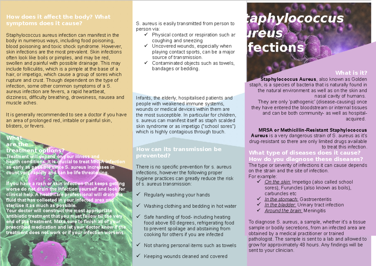 MIMI- Pamphlet - What is it? Staphylococcus Aureus, also known as ...