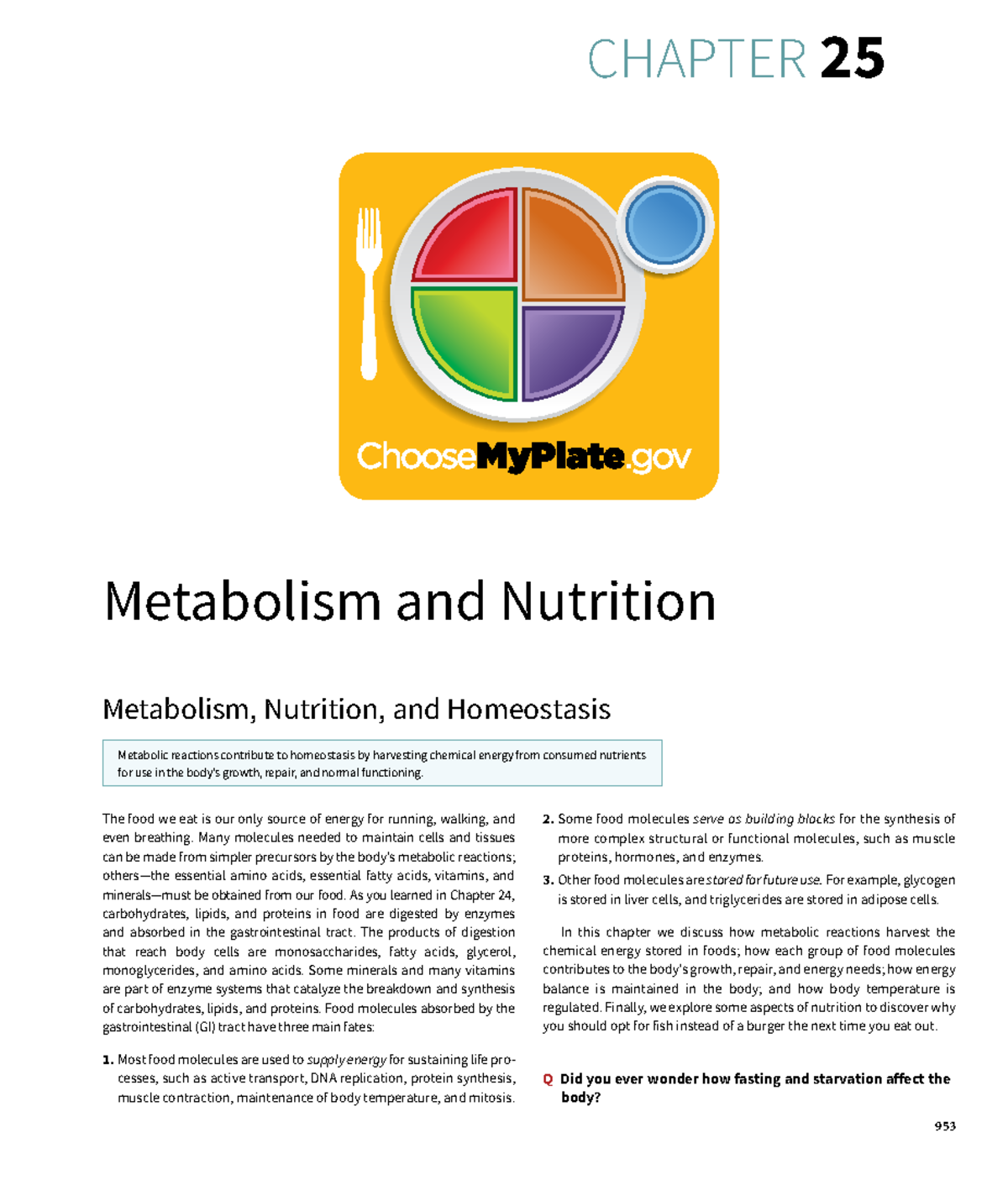 Metabolism AND Nutrition - 953 CHAPTER 25 The food we eat is our only ...