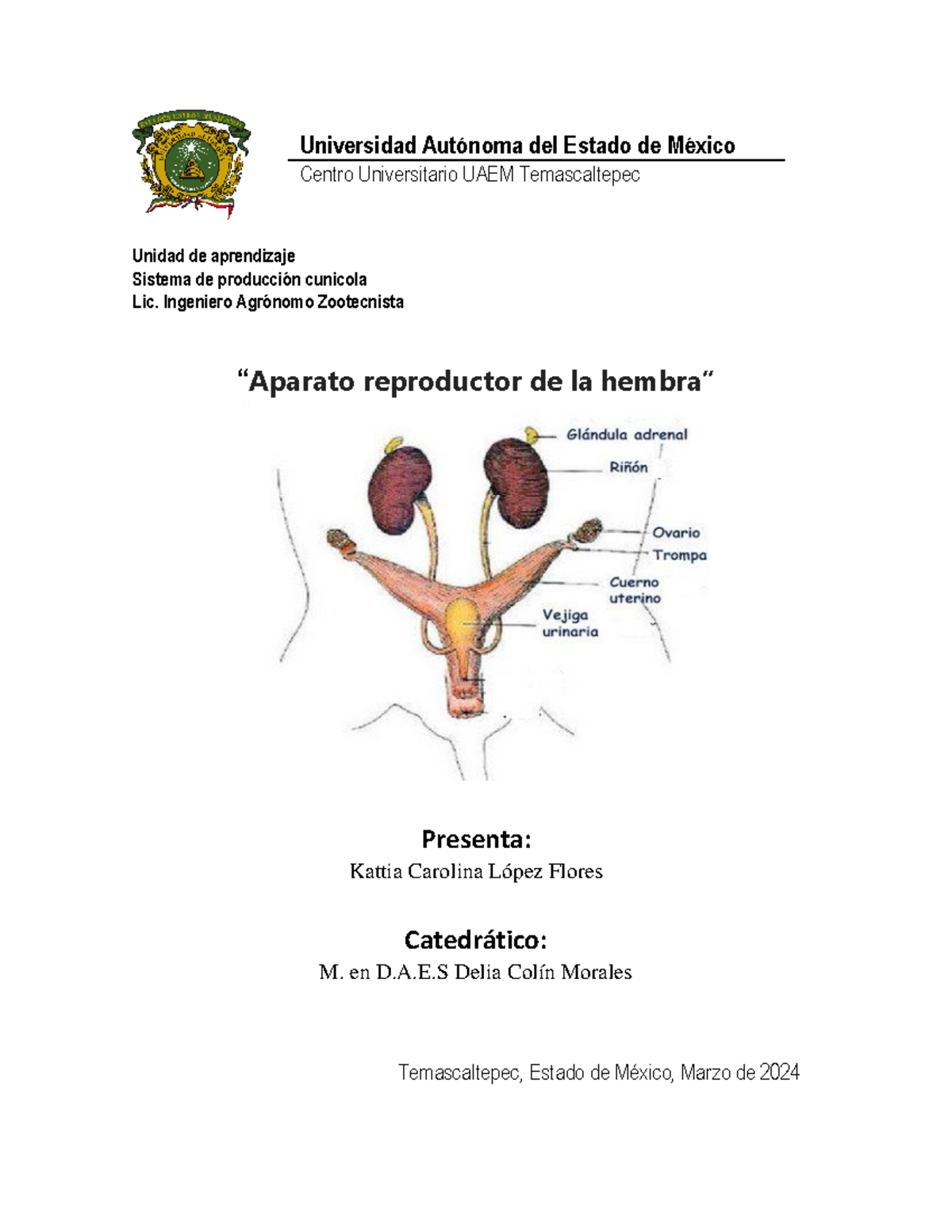Anatomia y Fisiologia de la hembra - Unidad de aprendizaje Sistema de ...