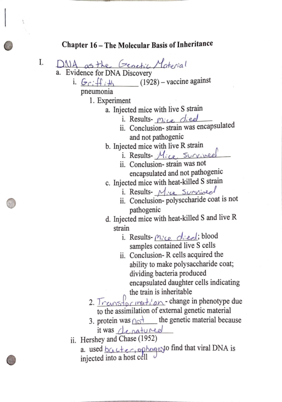 The molecular basis of inheritance - 0 I. Chapter 16 -The Molecular ...