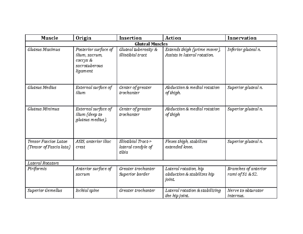 Muscle Origin Insertion Action - Studocu