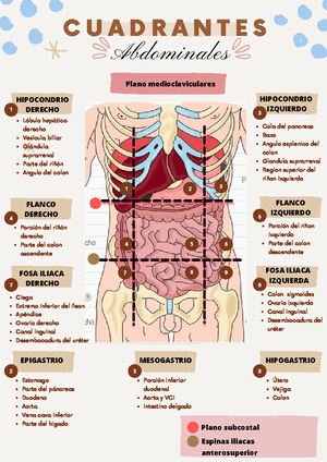 Lineamiento Técnico. Triage Obstétrico, Codigo Mater y ERIO. - Triage ...