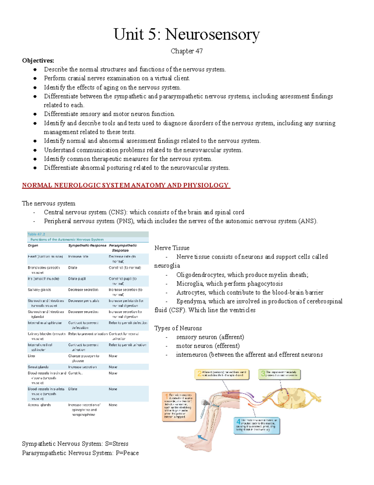 Chapter 47 Med Surg - Lecture/book notes - Unit 5: Neurosensory Chapter ...