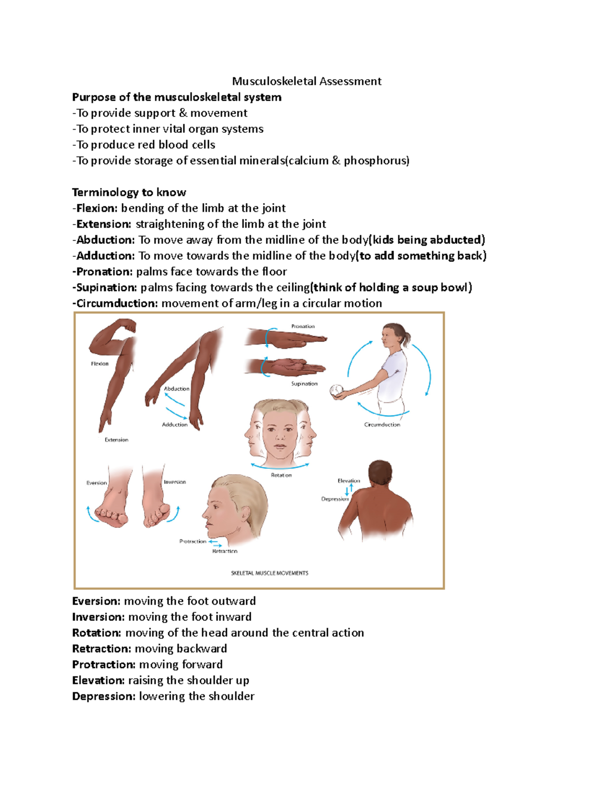 Musculoskeletal Assessment - Musculoskeletal Assessment Purpose of the ...