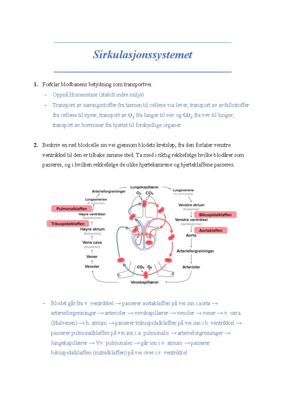 Sirkulasjonssystemet - Forklar blodbanens betydning som transportvei. - Oppnå Homeostase ...
