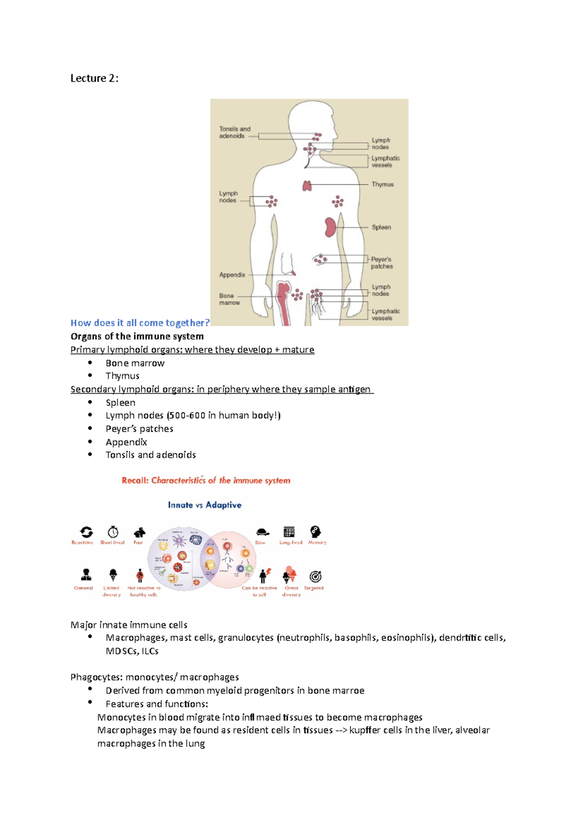 Immu ntoes - Covers the adaptive and innate immune systems - Lecture 2 ...