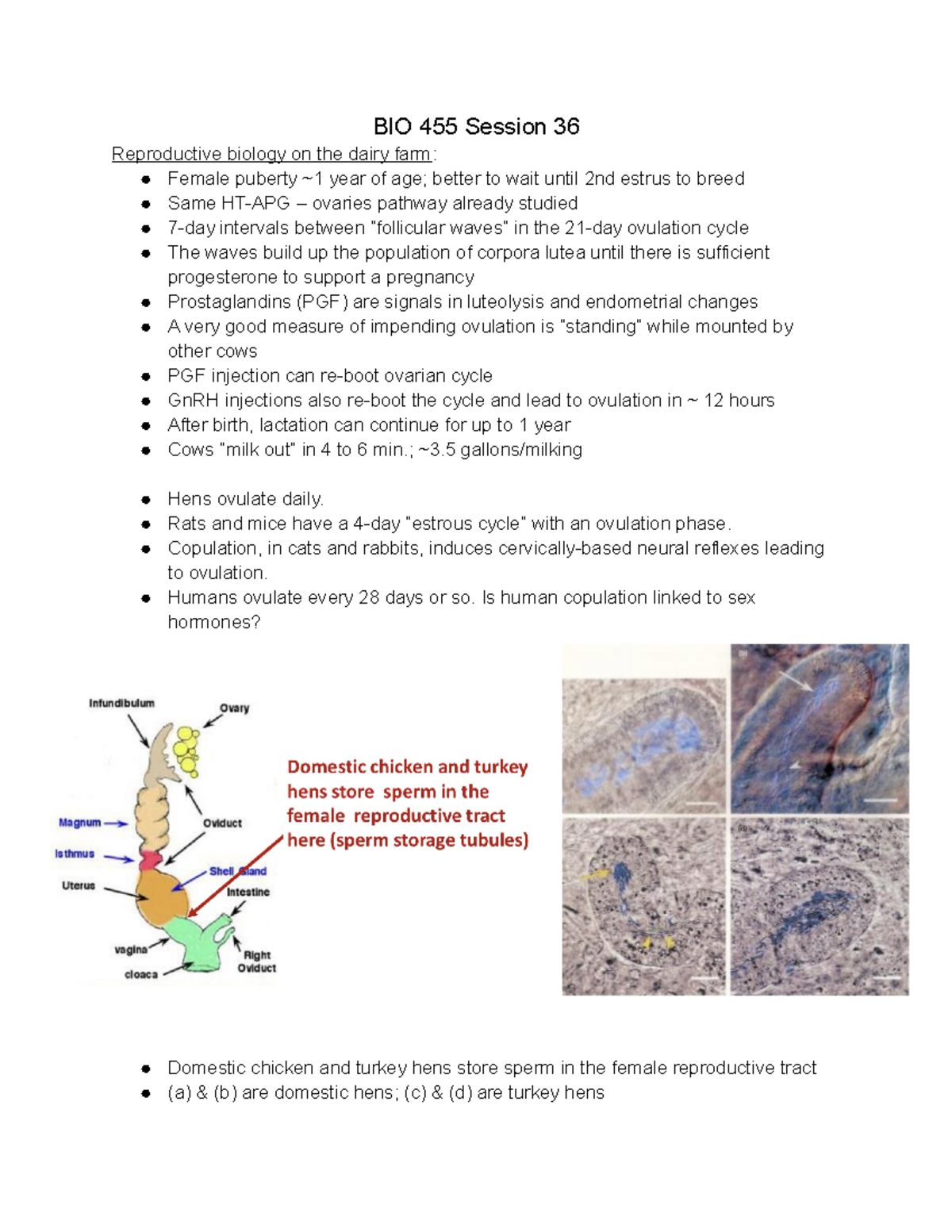 BIO 655 Session 36- Changes in animals during fertility - BIO 455 ...