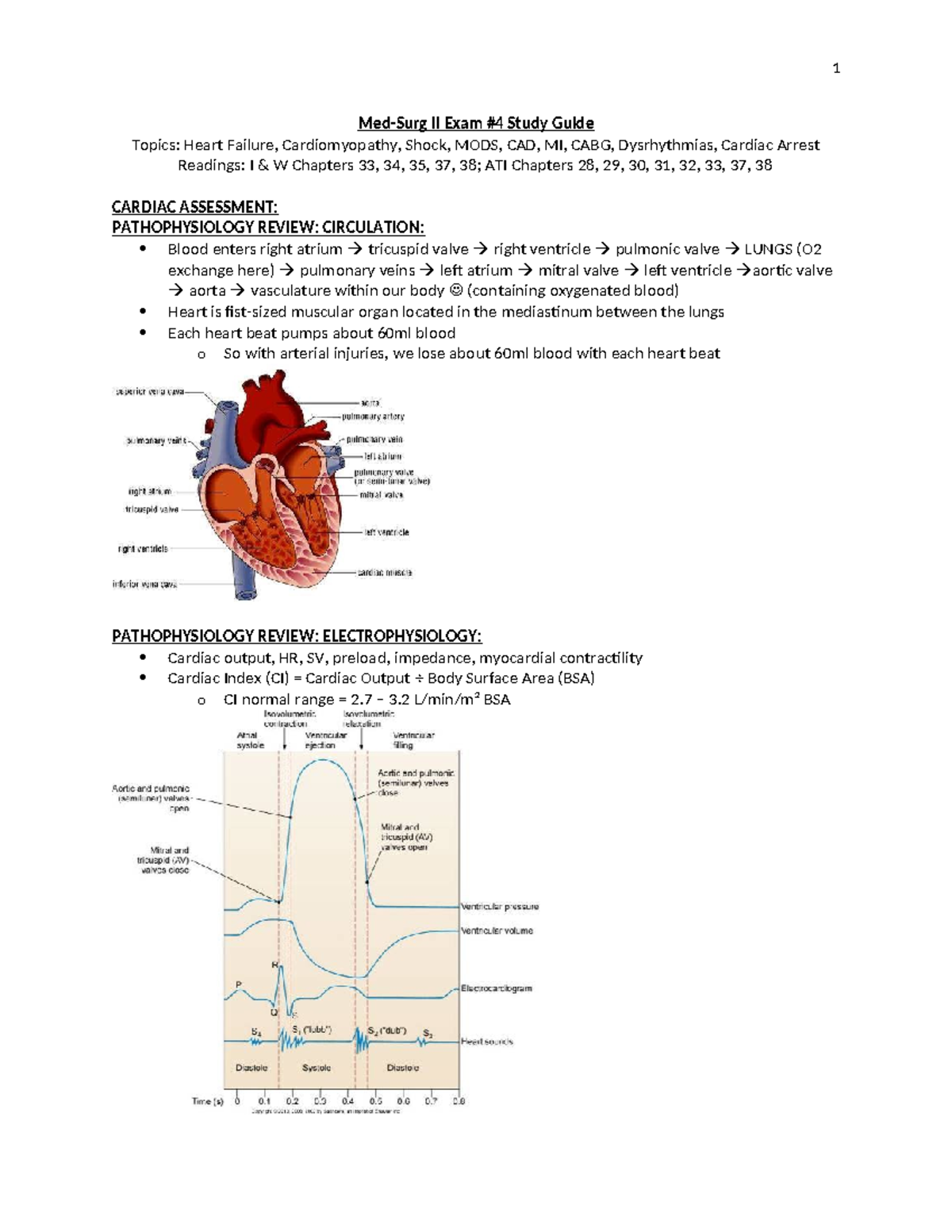 Med-Surg II Exam #4 Study Guide - Med-Surg II Exam #4 Study Guide ...