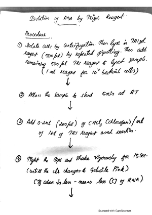 Bacterials Transformation Protocol - BACTERIAL TRANSFORMATION PRINCIPLE ...