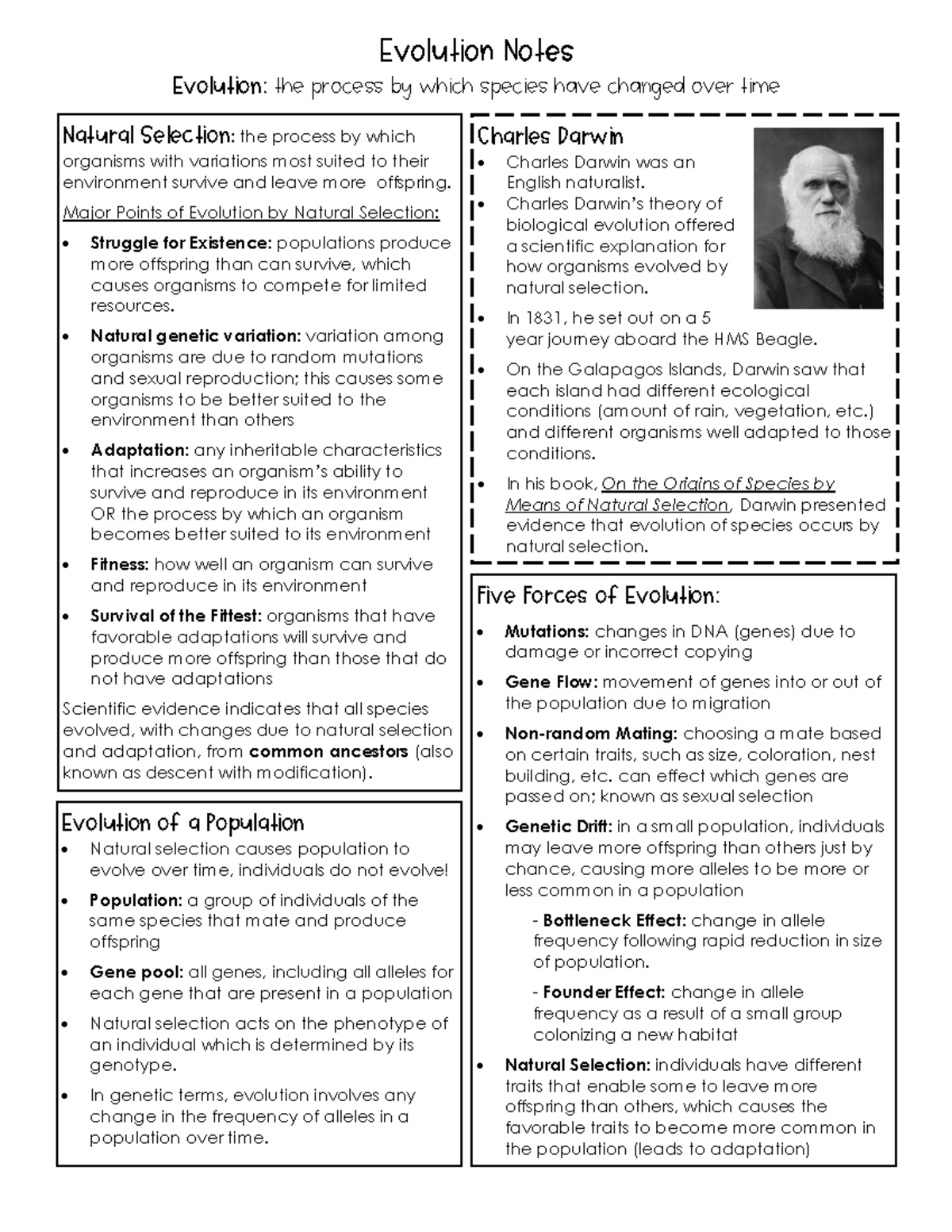 Evolution Notes 20-21 - Evolution Notes Natural Selection: the process ...