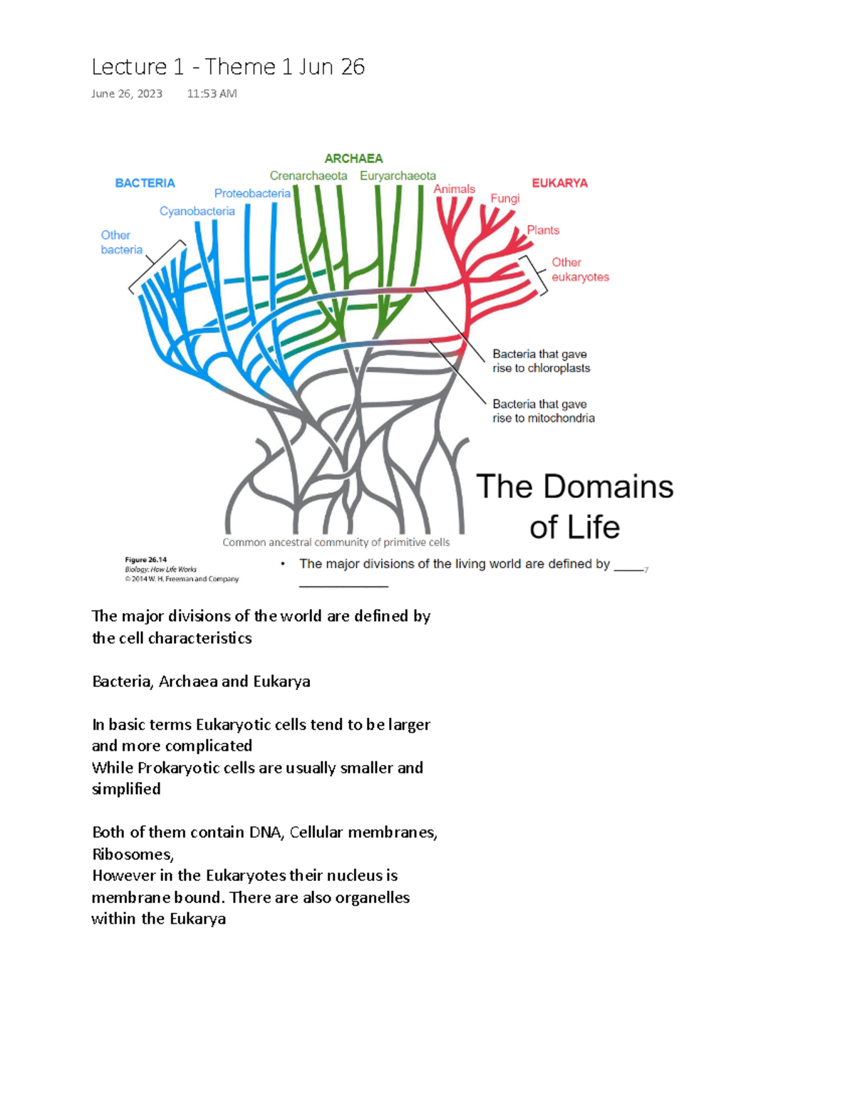Bio 371 Monday June 26 Notes - The major divisions of the world are ...