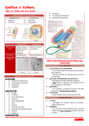 Lesson 4- Viruses AND Prions - MICROBIOLOGY AND PARASITOLOGY SUMMER ...