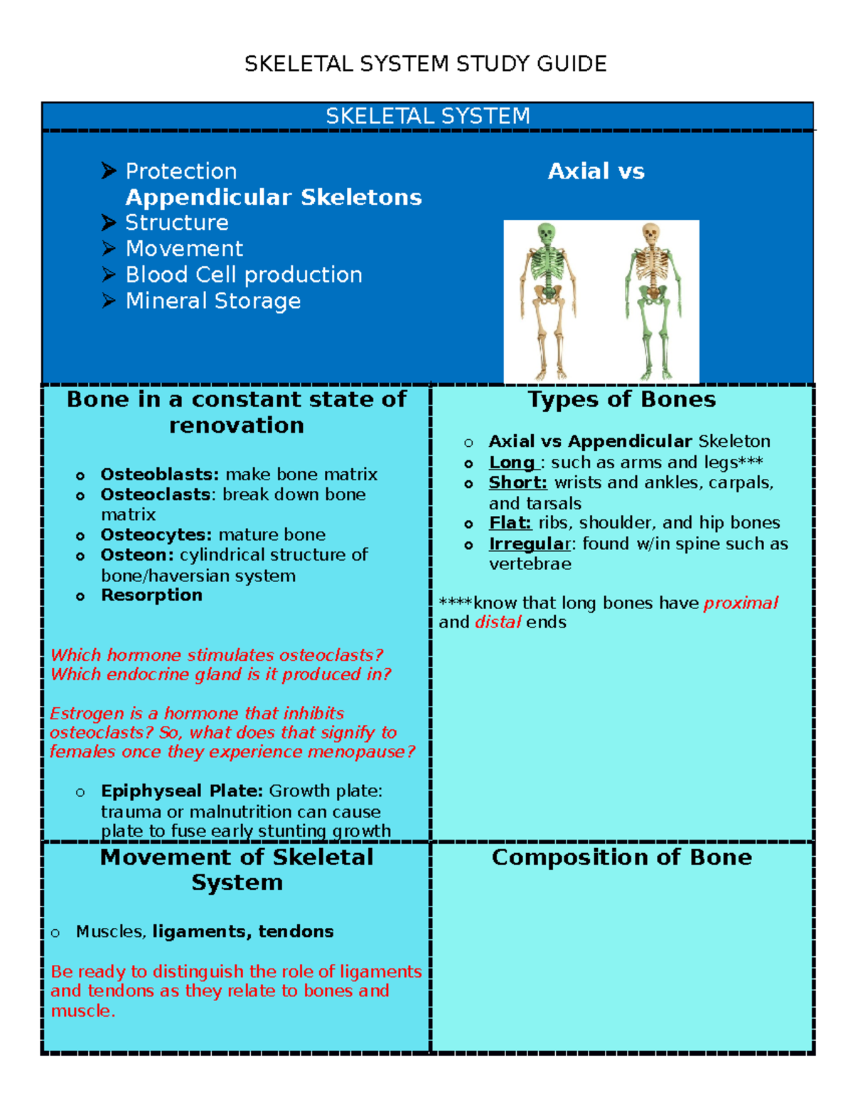 Study Guide Skeletal System 2023 - SKELETAL SYSTEM STUDY GUIDE SKELETAL SYSTEM Protection Axial ...