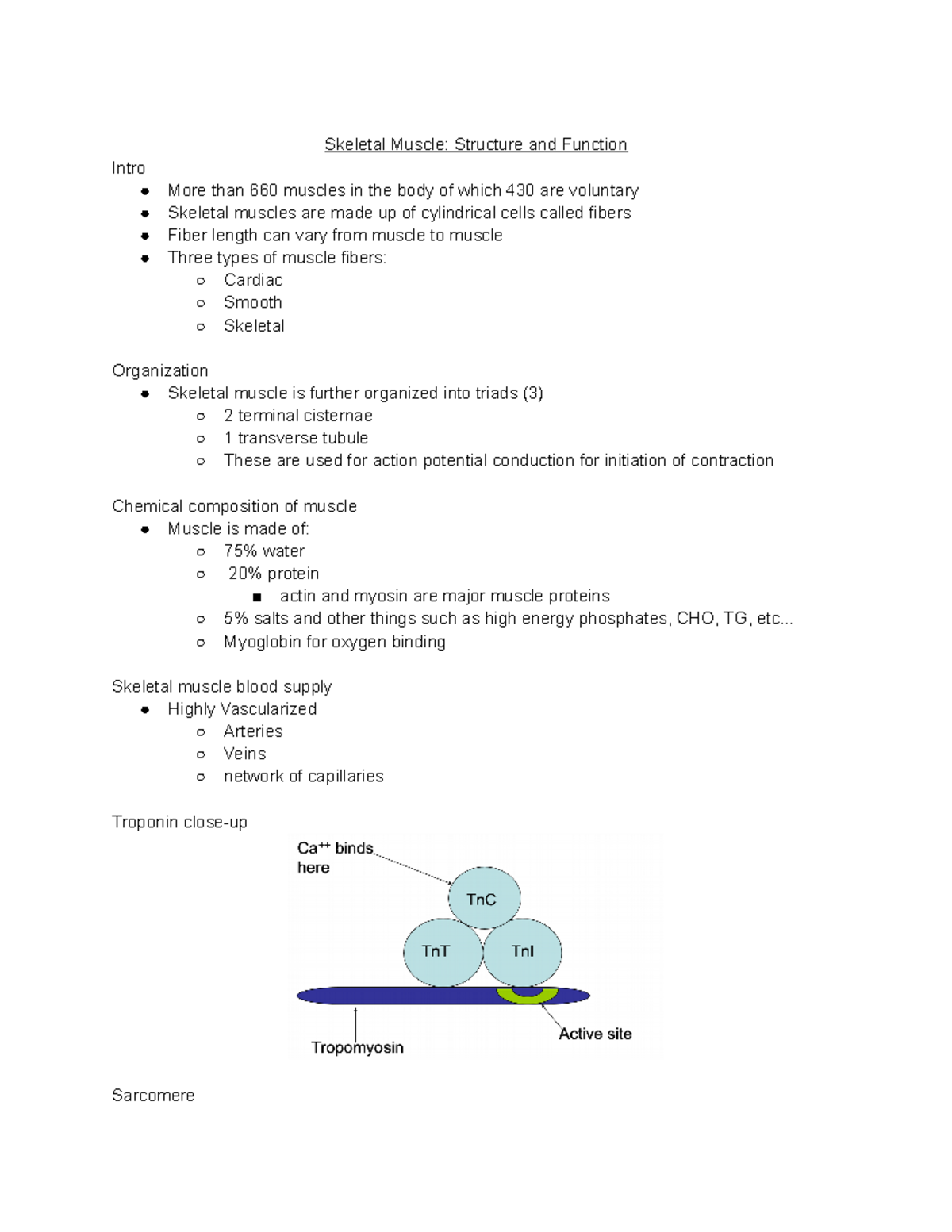 Skeletal Muscles - ALL lecture notes for exercise physiology Nutrition ...