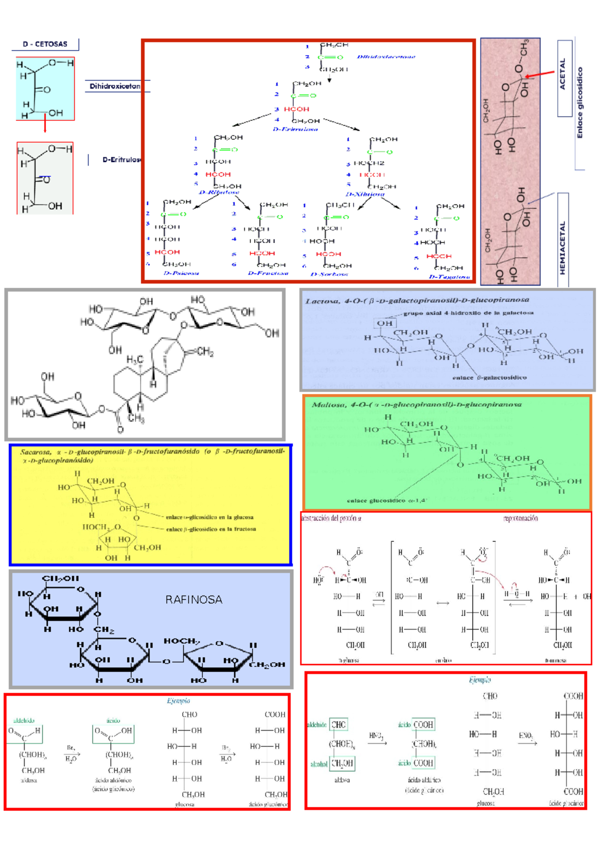 1 - organica2 - D CETOSAS 1 H2OH 2 Dihidoxiacetona H 3 CH2OH H ...