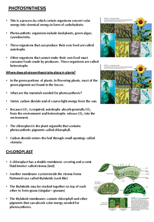 Cell Theory Assigment - CELL THEORY ASSIGNMENT MASHABELA K – MASUPE M.P ...